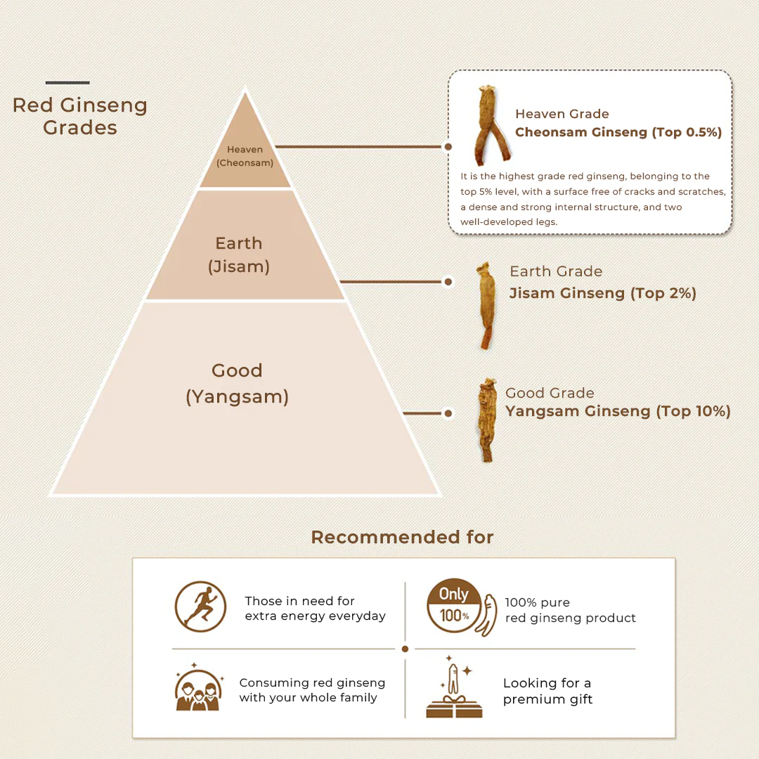 Understanding Grades of Korean Red Ginseng Roots: Heaven Grade, Earth ...